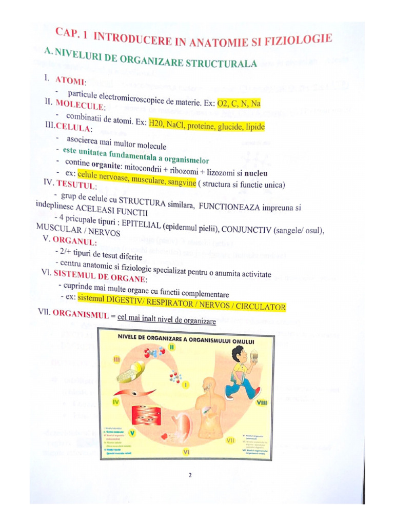 Barron's Sinteze | PDF
