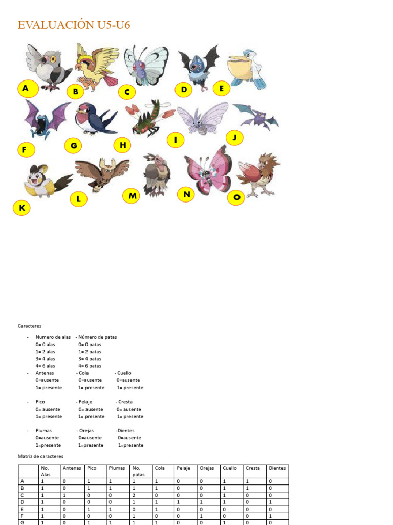 EVALUACIÓN U5 | PDF