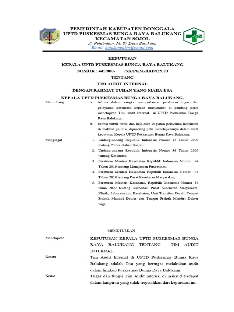 Tim Audit Internal Puskesmas Bunga Raya | PDF