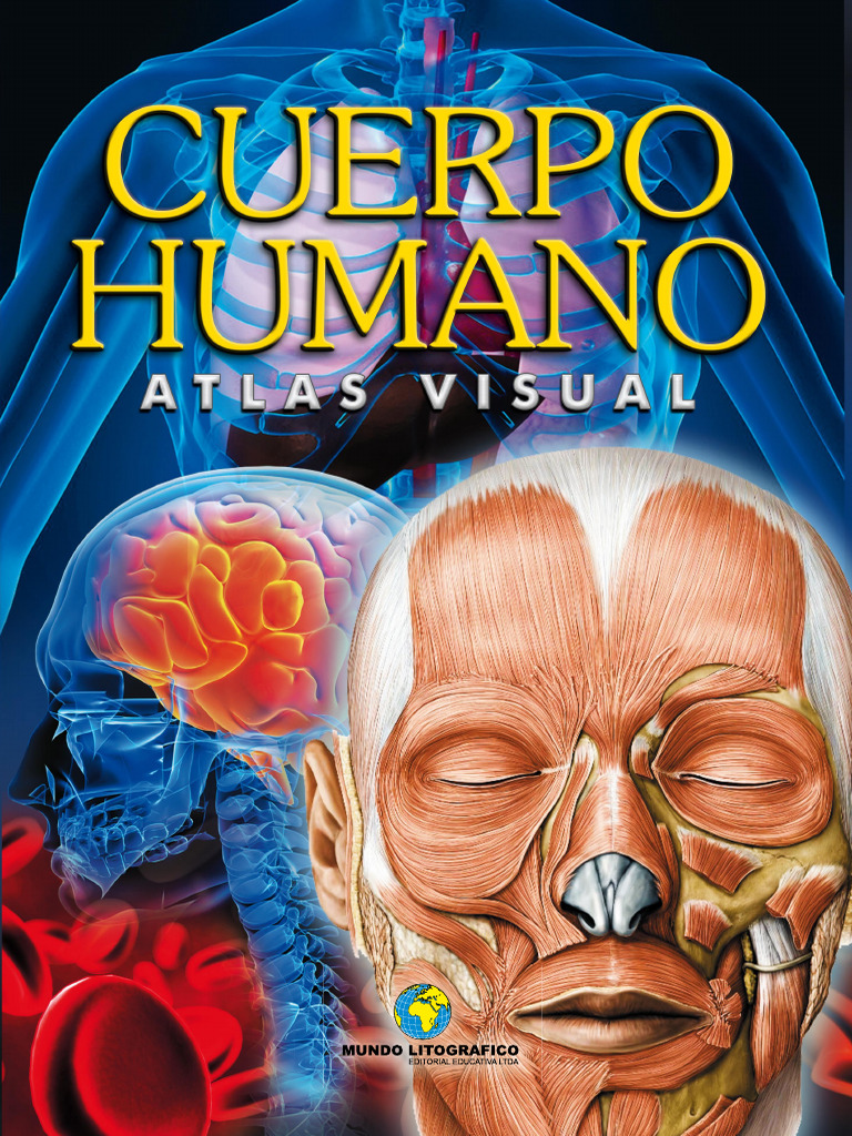 Atlas Visual Del Cuerpo Humano | PDF
