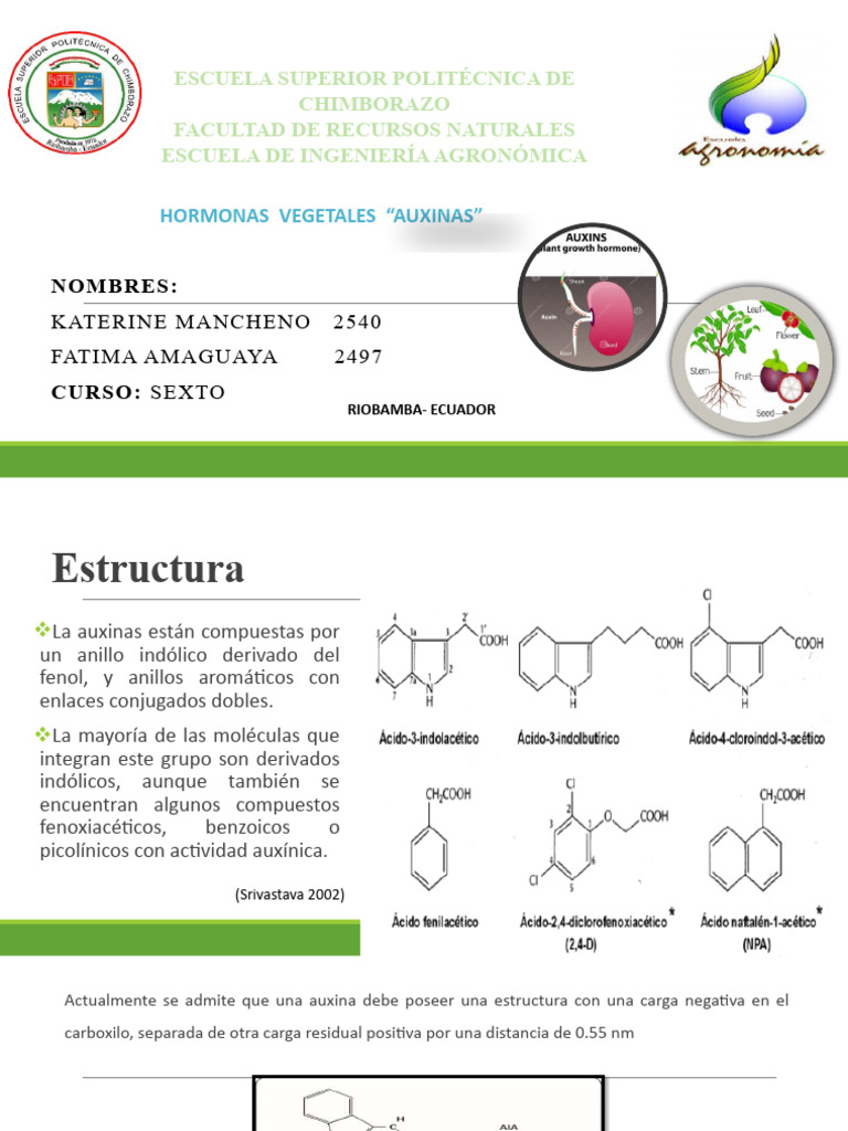Auxinas: Hormonas Vegetales y Usos | PDF | Auxina | Hormona Vegetal