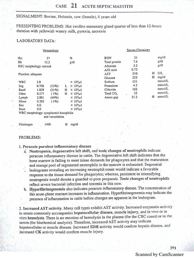 CP case studies 2 (1) | PDF