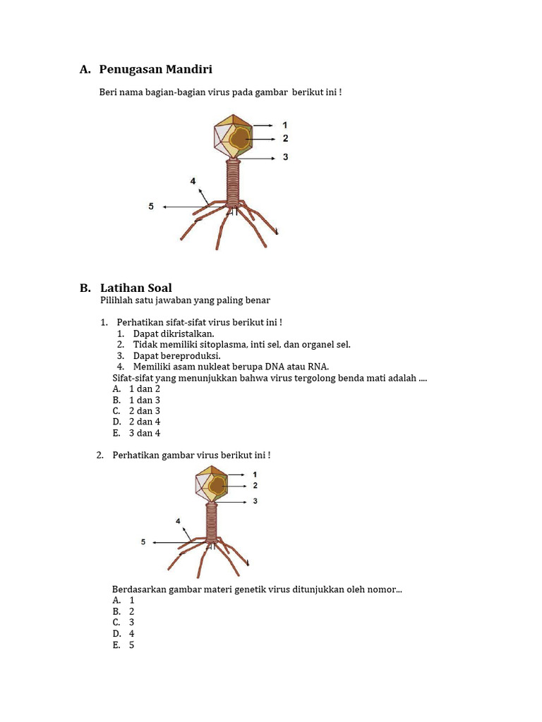 Soal Struktur, Ciri, Dan Bentuk Virus | PDF