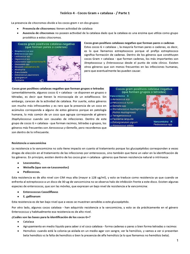Identificación de Cocos Gram+ Catalasa- | PDF | Estreptococo | Penicilina