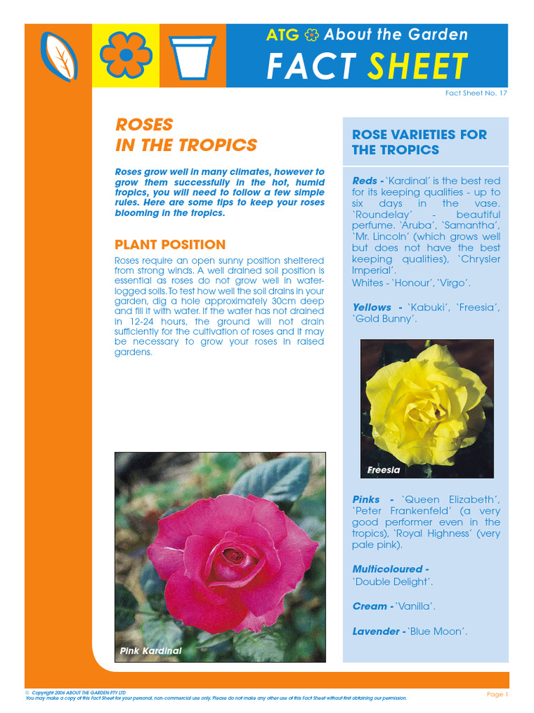 ATG Fact Sheet 17 Roses in The Tropics | PDF