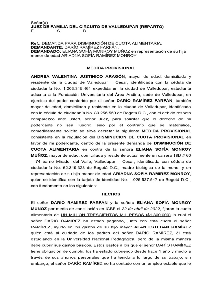 Medida Provisional | PDF | Pensión alimenticia | Justicia