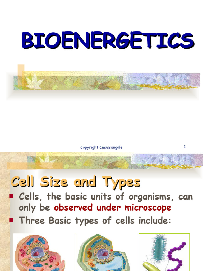 Bioenergetics 1 Pdf Photosynthesis Adenosine Triphosphate