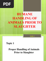 Avian Excretory System Overview | PDF | Kidney | Abdomen