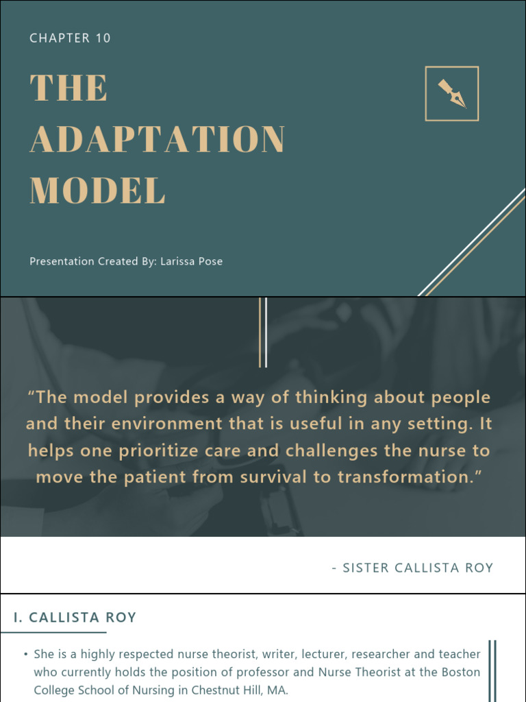 Chapter-15 TFN | PDF | Nursing | Behavior