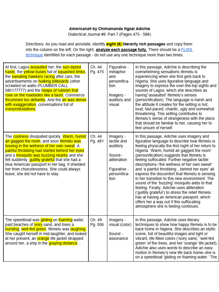 Analyzing Alliteration in Americanah | PDF