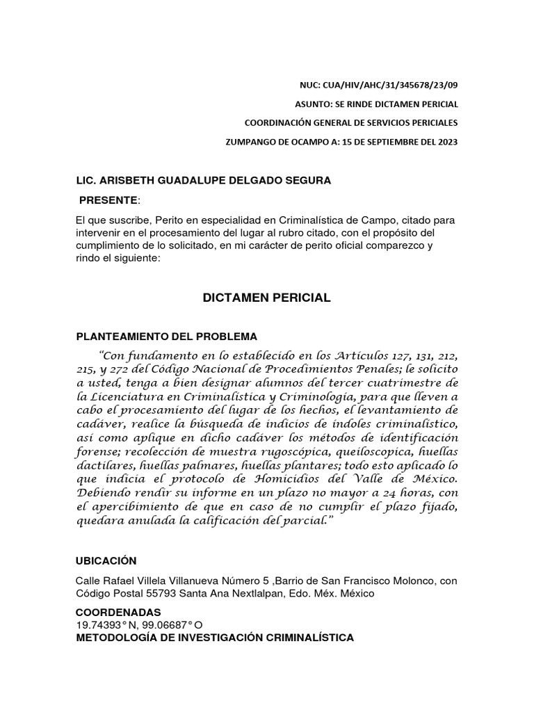 Dictamen | PDF