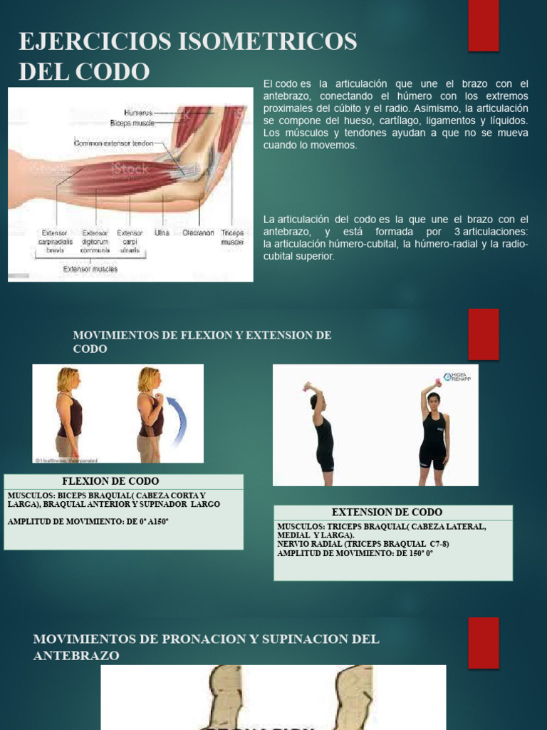 Ejercicios Isometricos de Codo y Rodilla | PDF