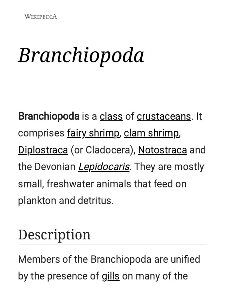 Branchiopoda: Freshwater Crustaceans | PDF | Arthropods | Taxa