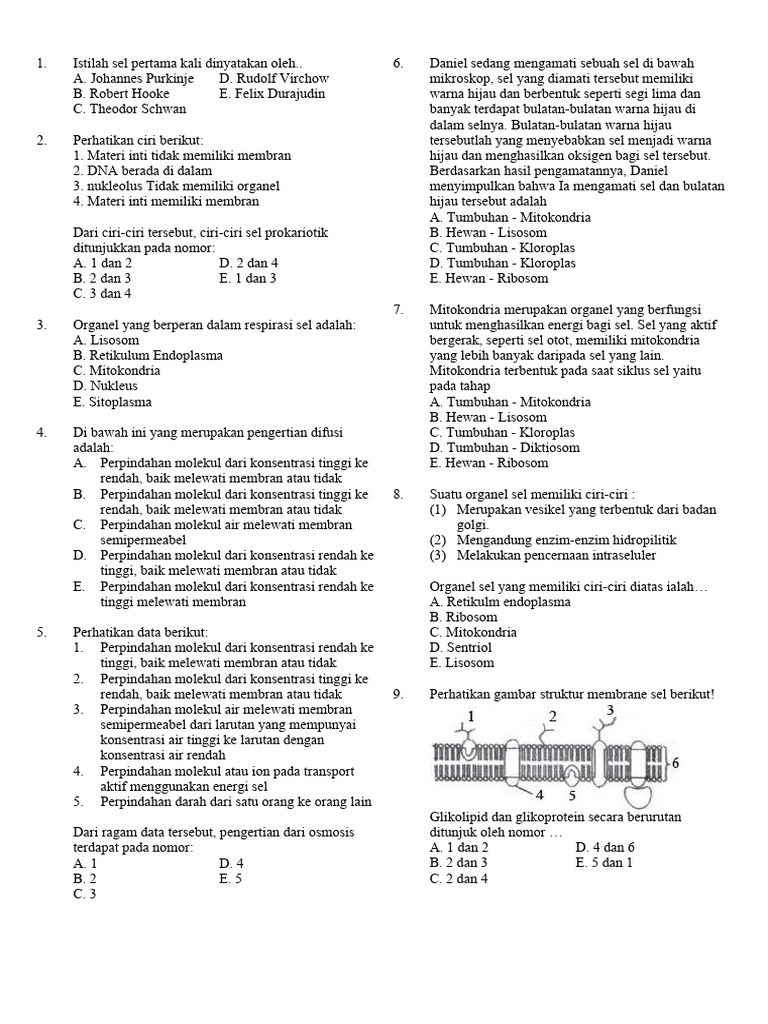 Soal Biologi Kelas 11 | PDF