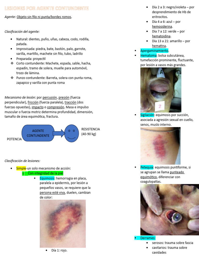 Lesiones por Agentes Contundentes | PDF | Anatomía