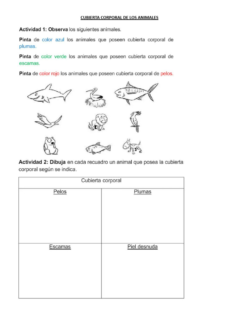 Cubierta Corporal de Los Animales | PDF