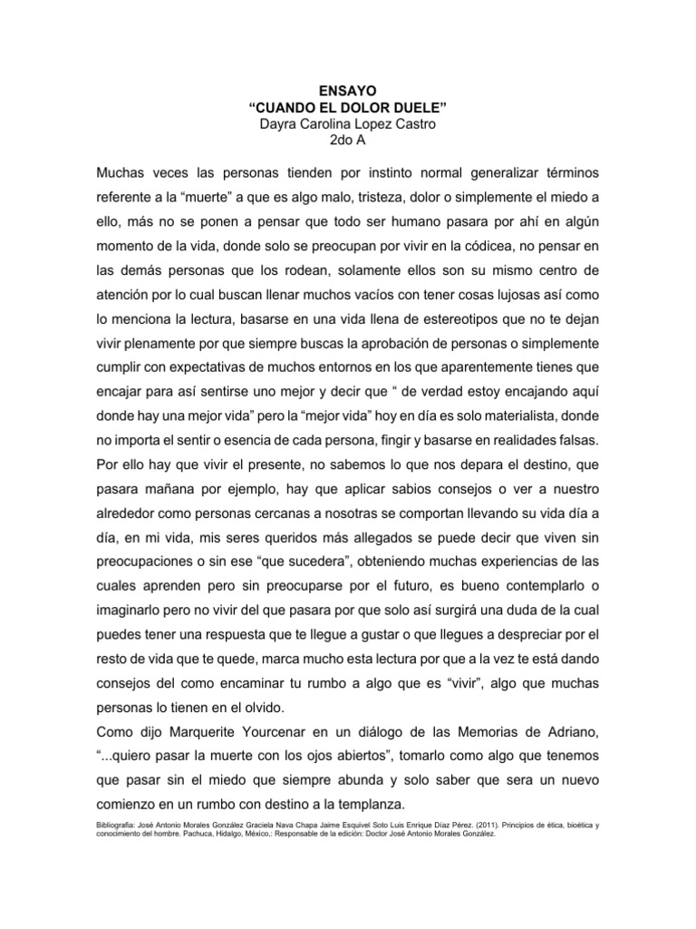 Copia de ENSAYO REFLEXIVO Copia de ENSAYO REFLEXIVO