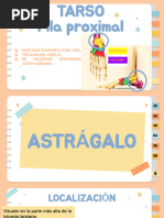 Anatomía del Maléolo Tibial y Astrágalo | PDF | Tobillo | Anatomía del ...