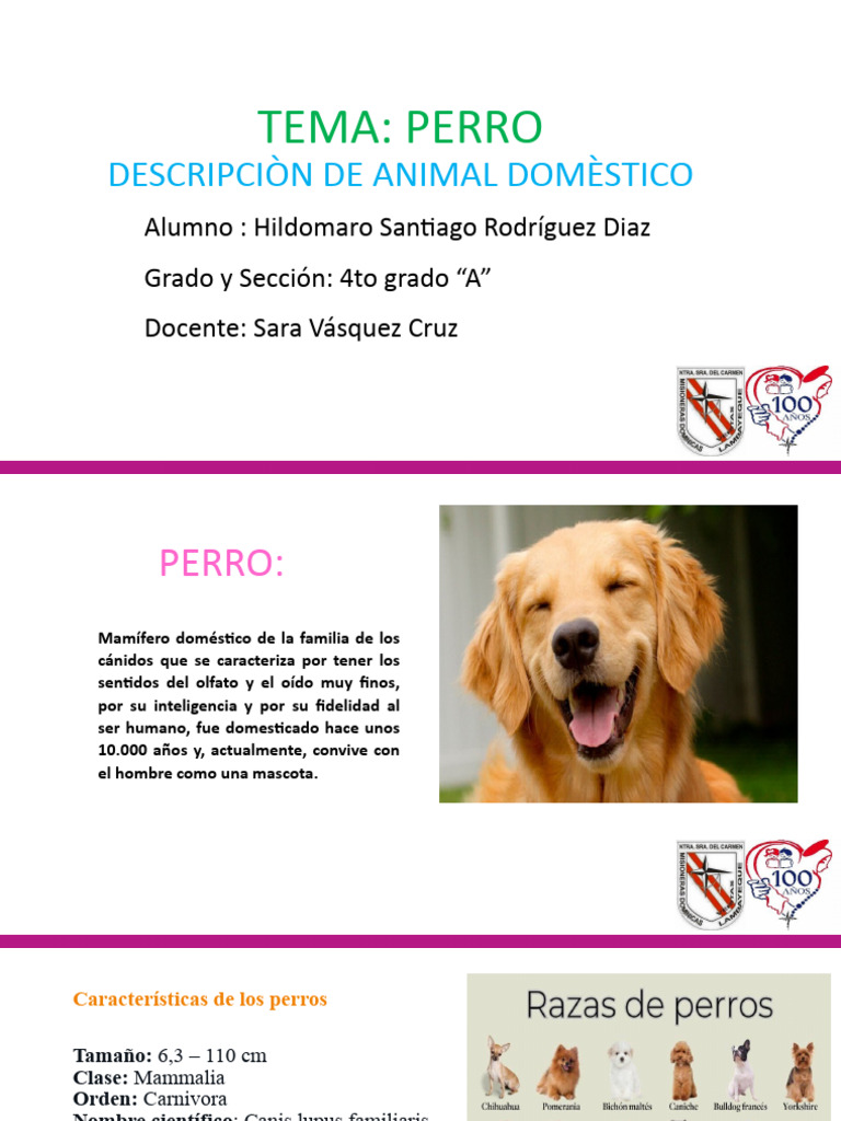 Descripción de Perros para Niños | PDF