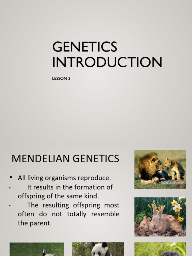 Genetics Intro | PDF | Dominance (Genetics) | Biological Evolution