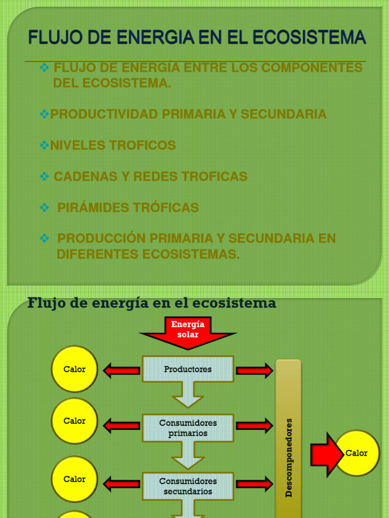 Flujo de Energia | PDF
