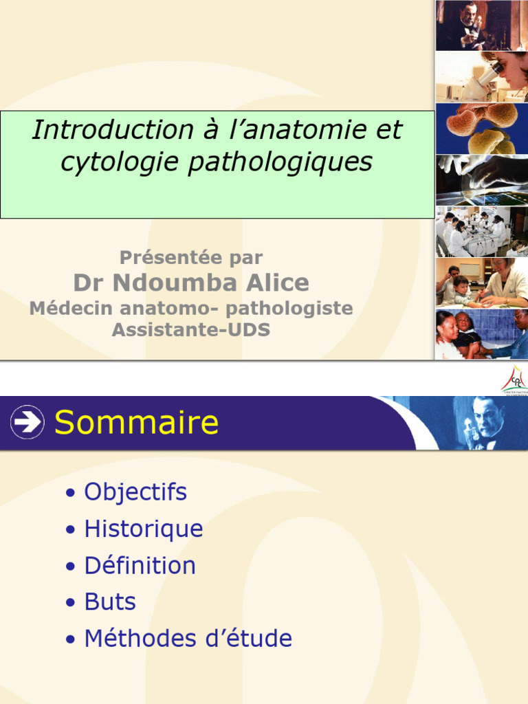 Introduction A L' Anapath | PDF