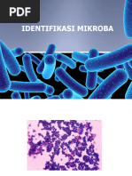 Laporan Praktikum UJI KATALASE BAKTERI | PDF