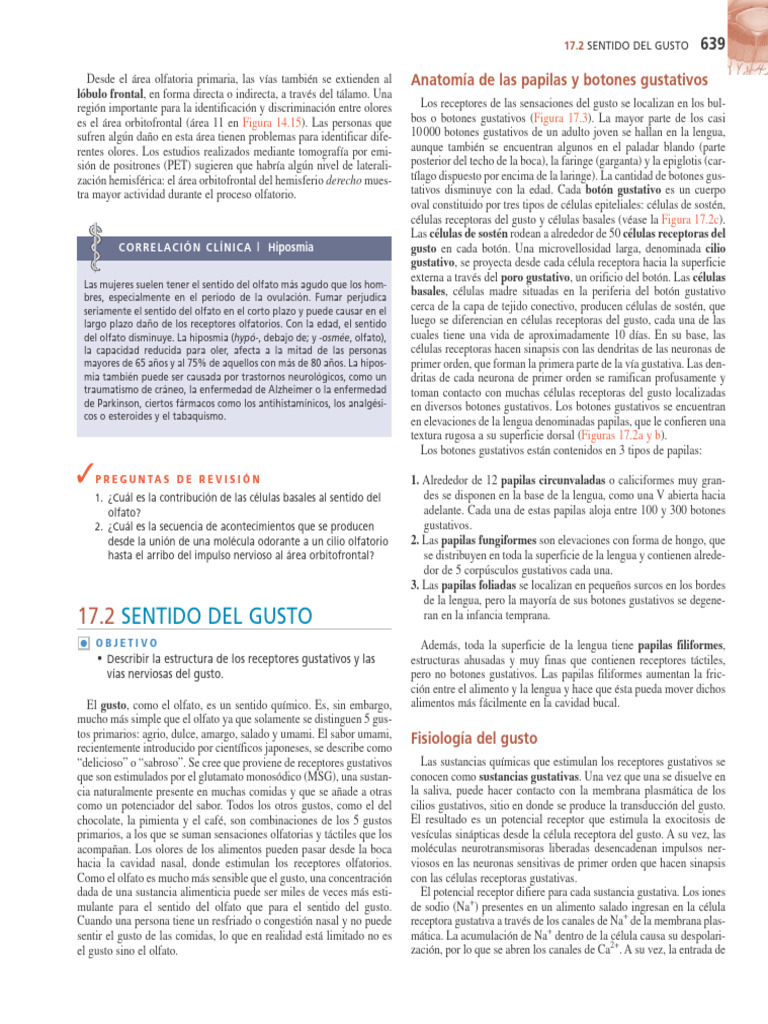 Gerard J. Tortora-13ed. Gusto Guia 22 A Modulo II | PDF | Gusto | Anatomía