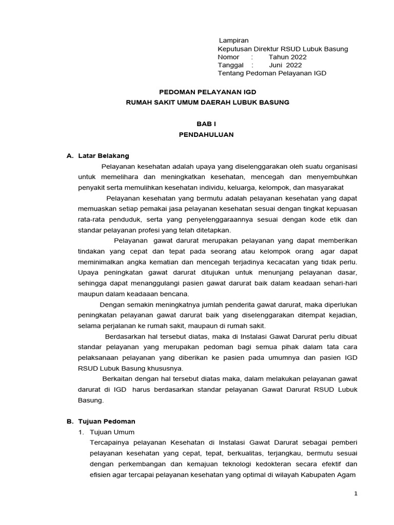 Panduan Pedoman Pelayanan IGD | PDF