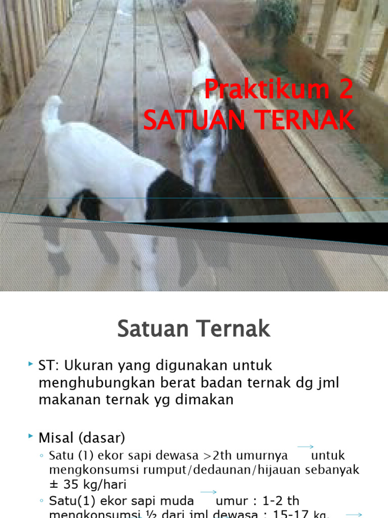 Praktikum 2 Satuan Ternak | PDF