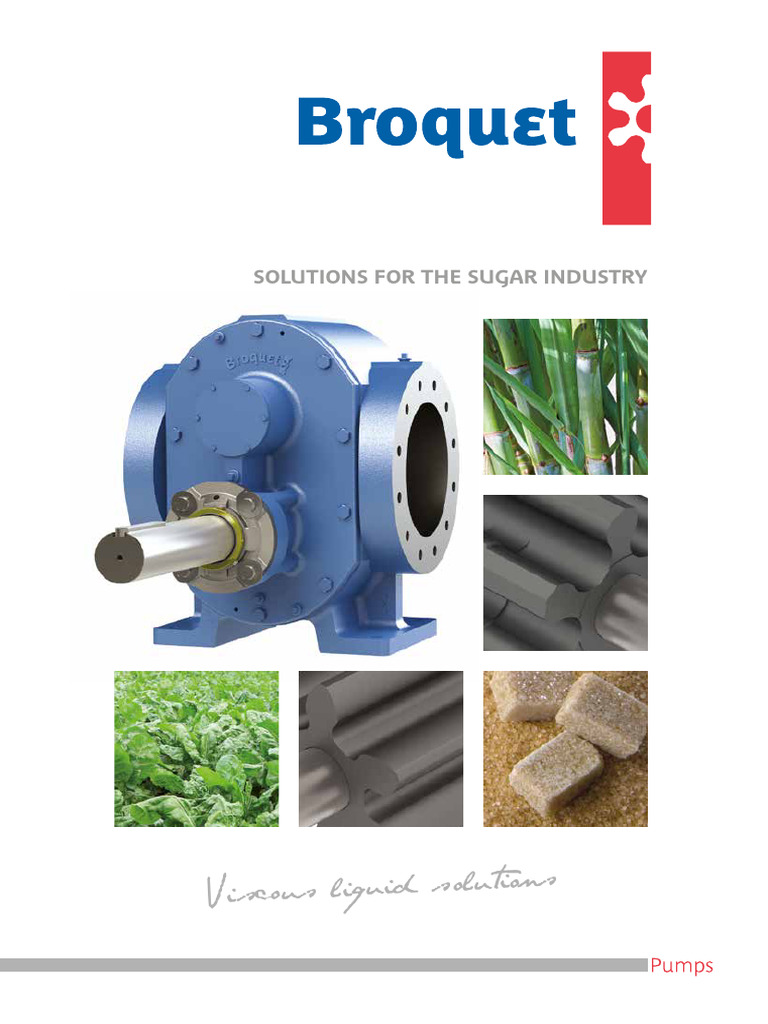 Broquet Pump - English | PDF | Pump | Mechanical Engineering
