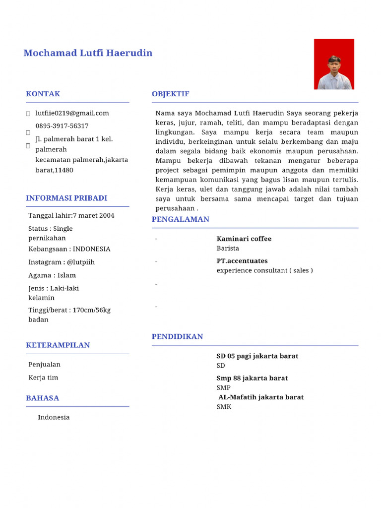 CV Lutfi PDF | PDF