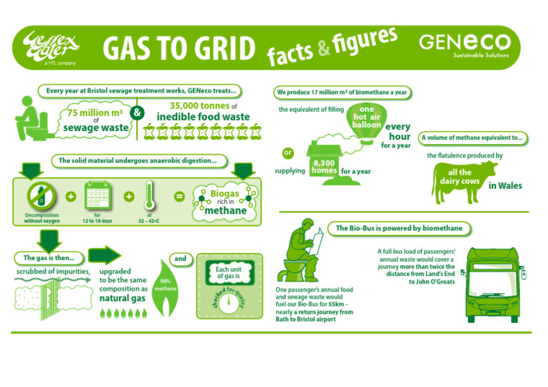 Bio-Bus Infographic | PDF