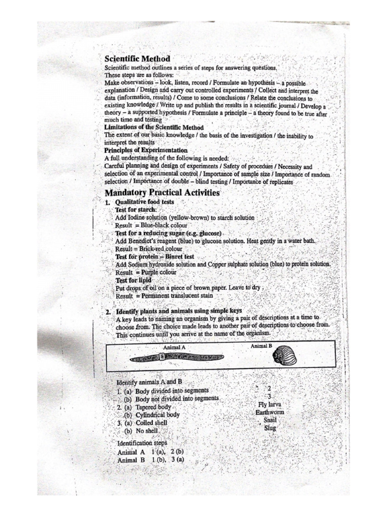 LC Biology Experiments | PDF