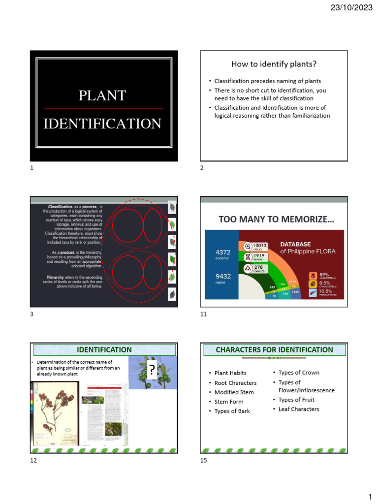 Taxonomy Guide To Plant Identification | PDF | Root | Plants
