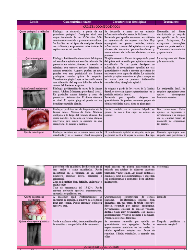 Quistes Odontogenicos Pdf