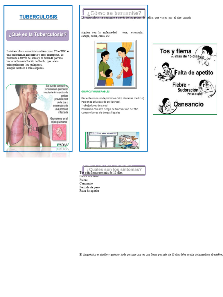 Triptico Tuberculosis | PDF