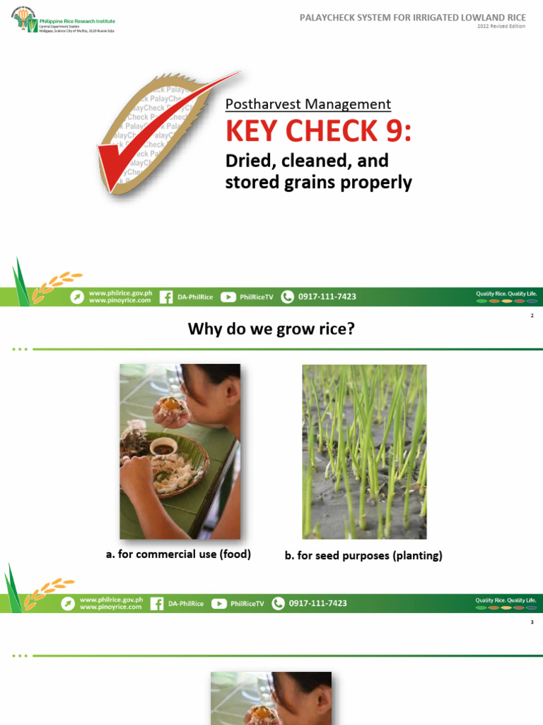 Key Check 9 Final - 2022RevEd (Wide) Fin | PDF | Rice | Clothes Dryer