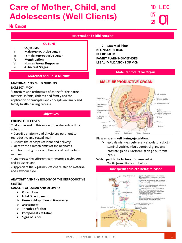01 Introduction of MCN | PDF