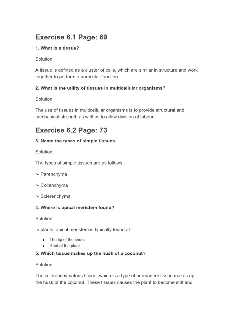 Tissues Class 9 | PDF | Tissue (Biology) | Anatomy