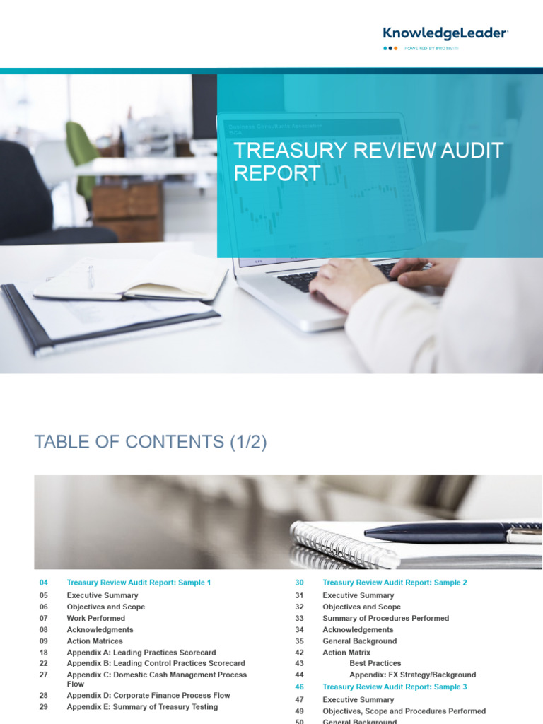 Treasury Review Audit Report | PDF | Internal Control | Financial Risk