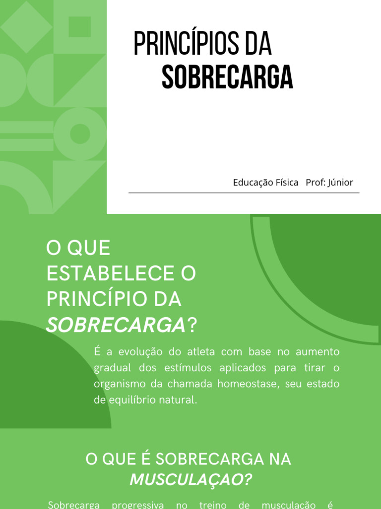 Princípio da sobrecarga_20230810_155906_0000 | PDF