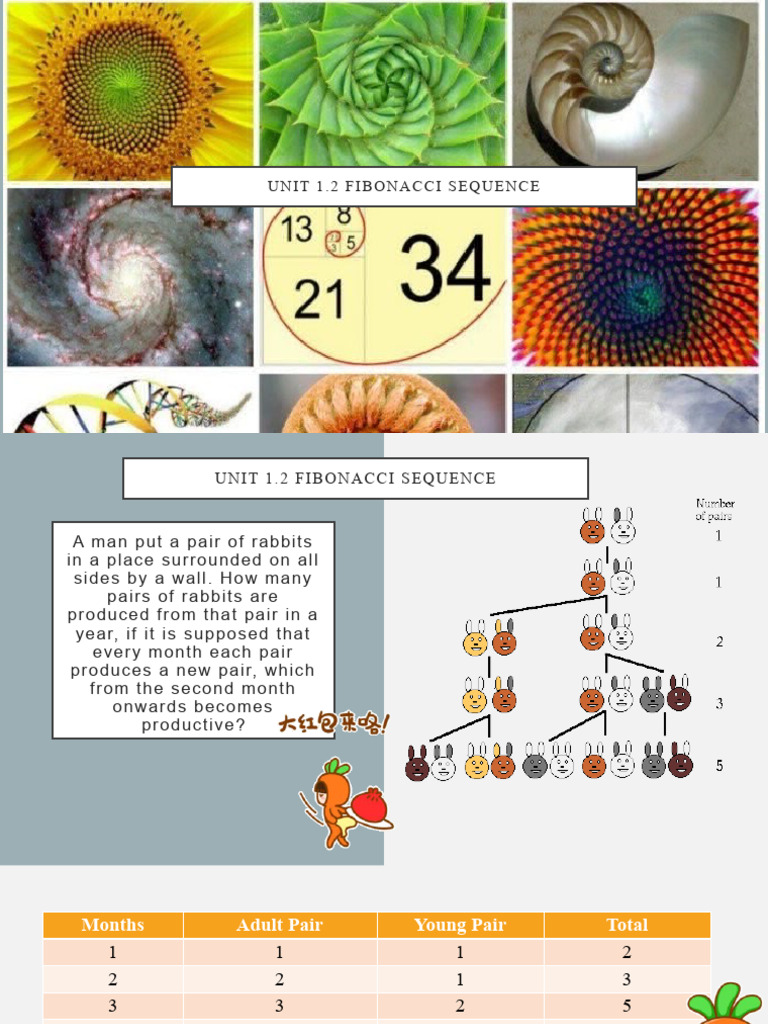 Unit 1.2 - Fibonacci Sequence | PDF | Mathematics Unit 1.2 - Fibonacci Sequence | PDF | Mathematics