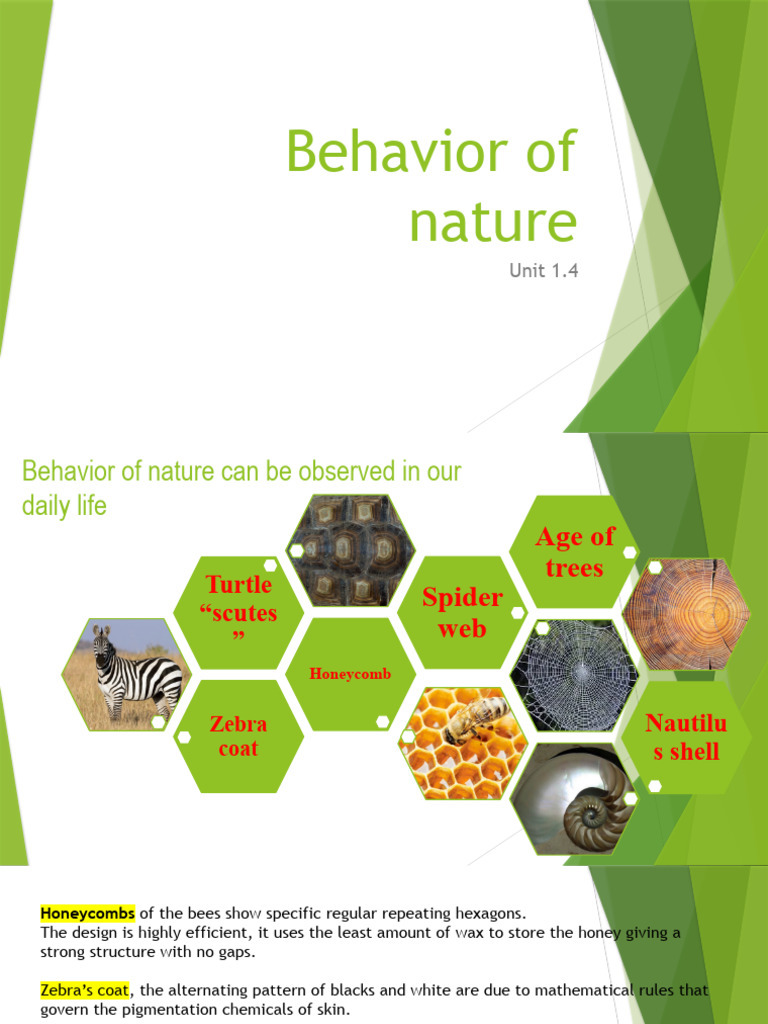 Patterns in Nature's Behavior | PDF | Pattern | Earth Sciences
