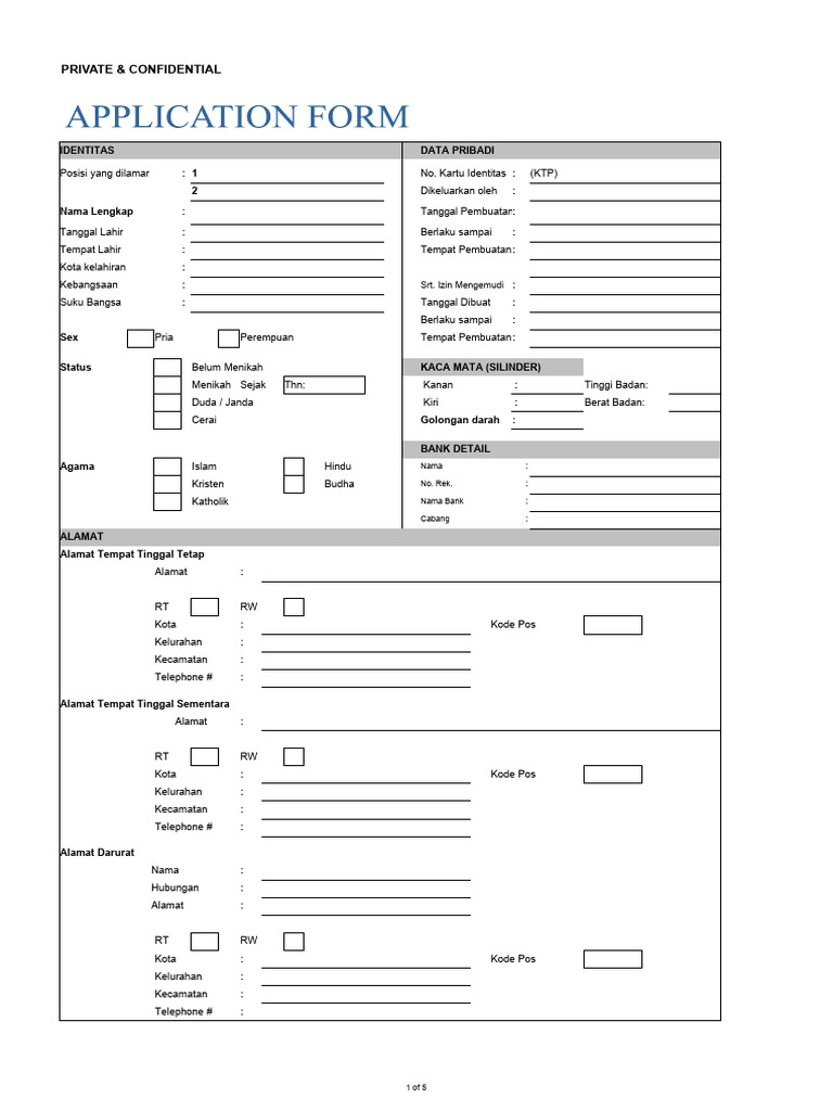Apllication Form Interview Assessment | PDF