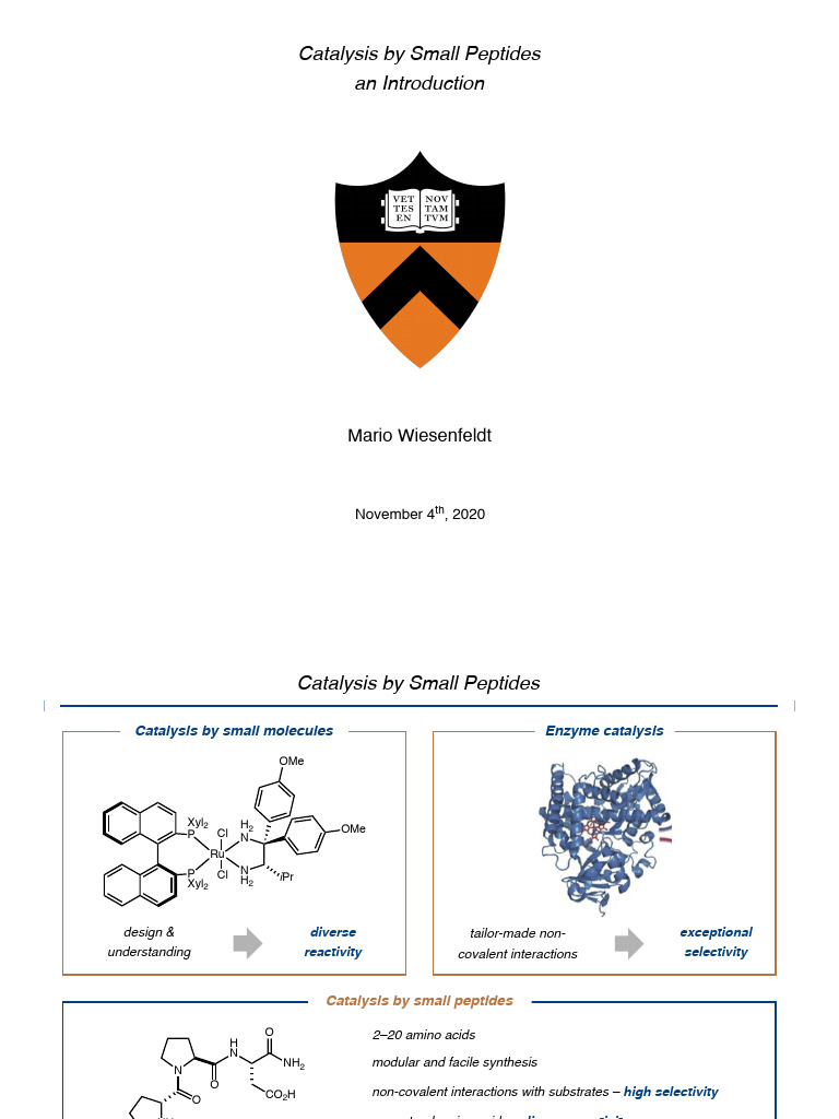 Group Meeting On Peptide Catalysis No Layering | PDF | Protein ...