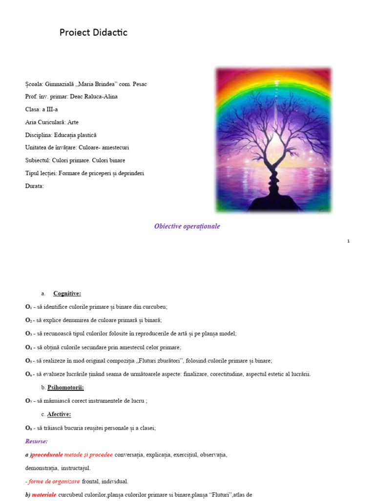 Proiect Arta Plastica | PDF