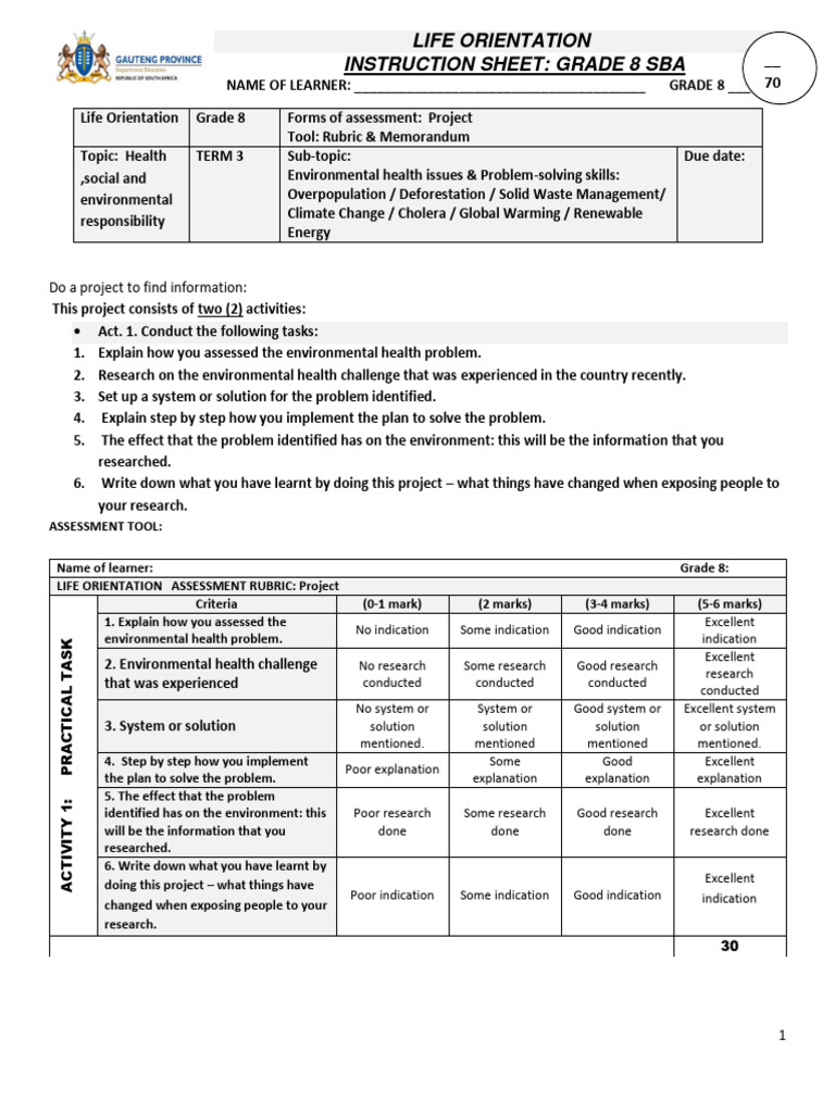 Grade 8 Environmental Health Project | PDF | Environmental Health ...