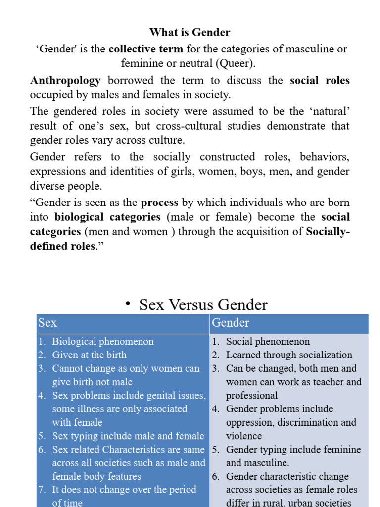 Gender Studies Lectures | PDF | Violence | Feminism