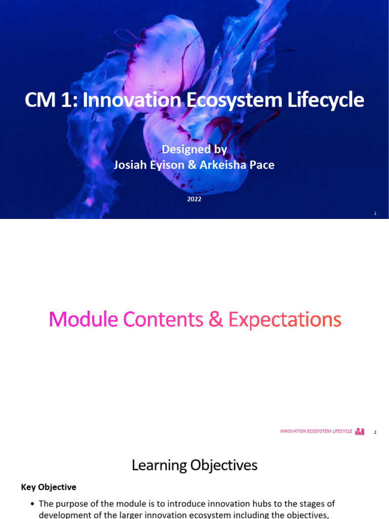 Innovation Ecosystem Lifecycle Overview | PDF